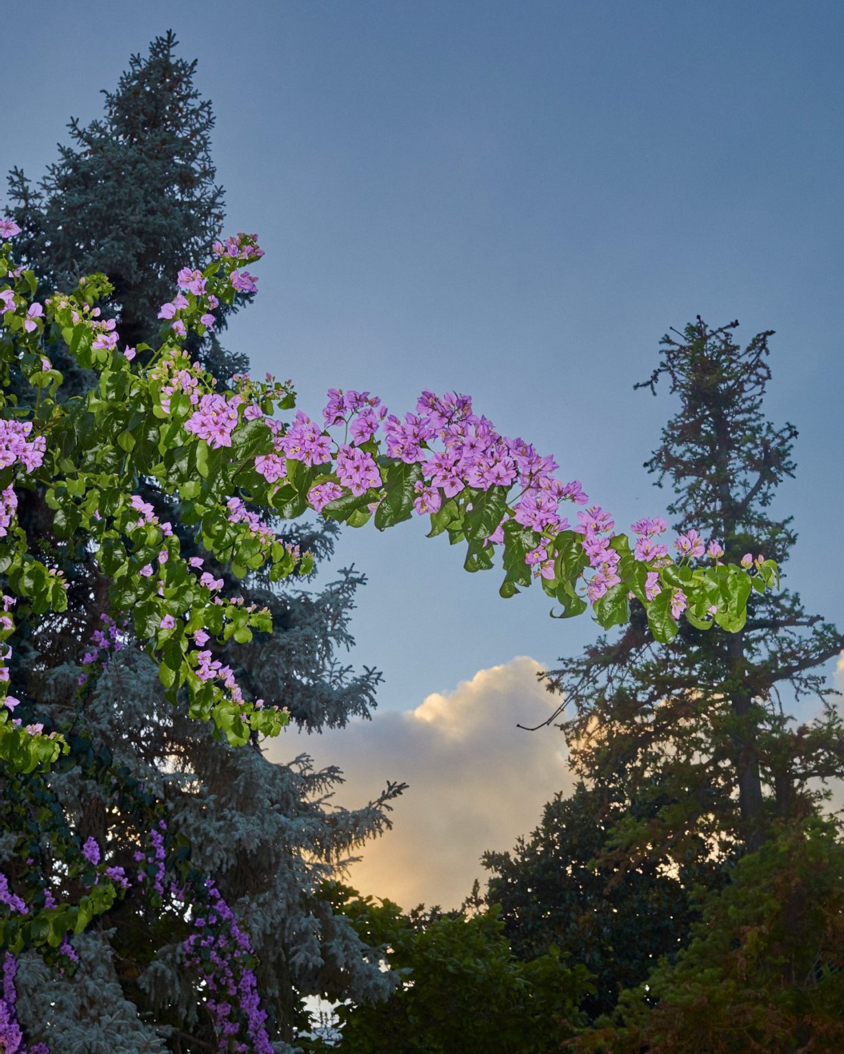 Se carrer à Carrare avec le photographe Raphaël Lugassy | Mint Magazine