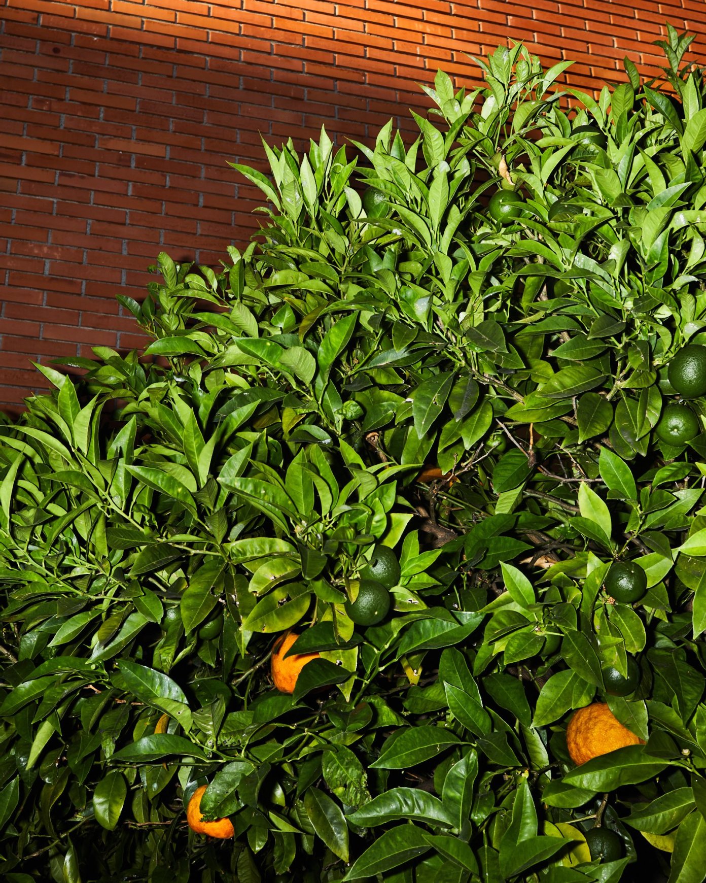 Se carrer à Carrare avec le photographe Raphaël Lugassy | Mint Magazine