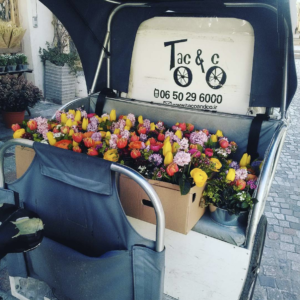 Les adresses arlésiennes de Julia Mitton | Mint Magazine