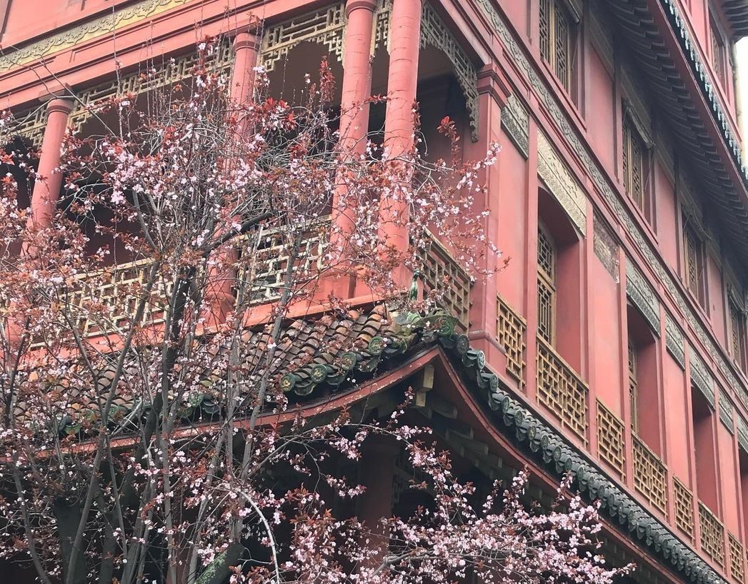 Escapade asiatique à Paris : la Pagode se visite quelques jours! | Mint ...