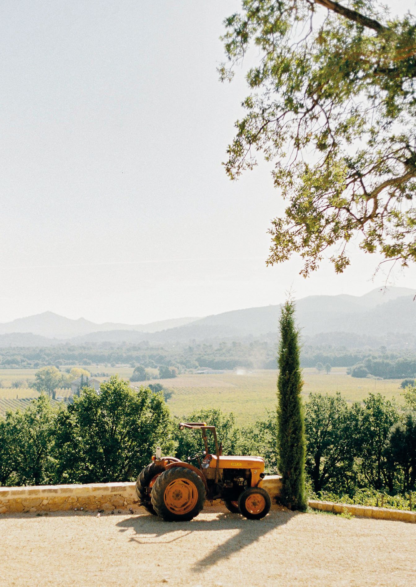 Le Marché Vert | Mint Magazine